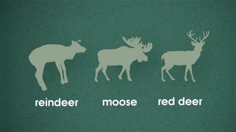 La Revue Gauche Left Comment