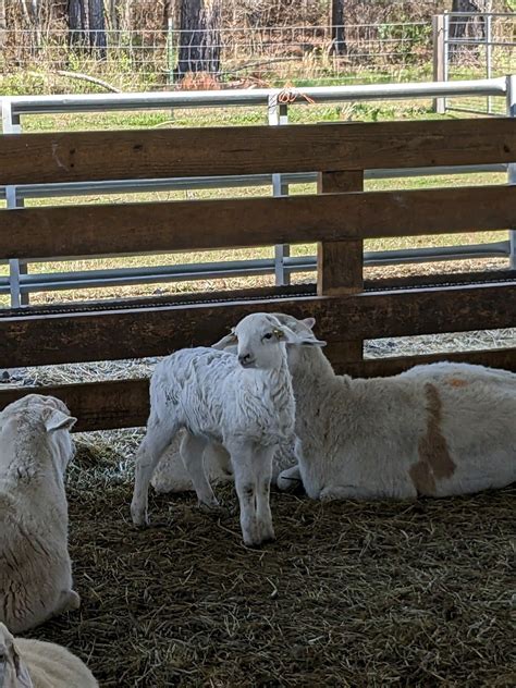 Had A Fun Friday Farmday Gathering Of The Extension Local Food Program Team It Stills Feels