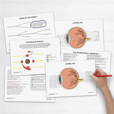 Eye Revision Guide Interactive And Printable Pdfs Ophthalmology