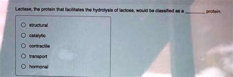 Lactase The Protein That Facilitates The Hydrolysis Of