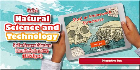 Grade 4 Natural Science And Technology Shell Or Framework Structures
