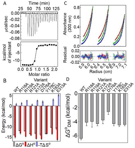 Network Residues Function In Allosteric Input And Output Download Scientific Diagram