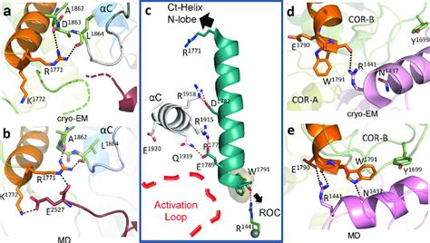 Capturing Interactions At The N And C Termini Of The Cor B Helix A