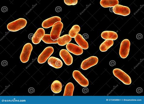 Group Of Bacteroidetes On Black Background Illustration Cartoon Vector