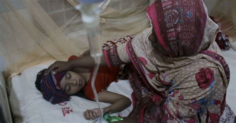 Taiwan Researchers Use Special Robot To Fight Dengue Fever