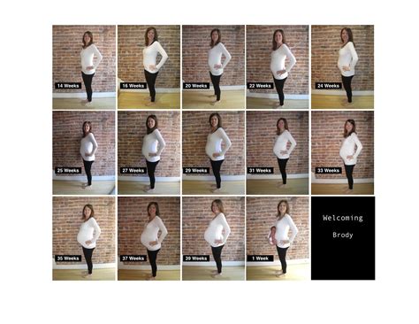 Monthly Pregnancy Photo Shoot