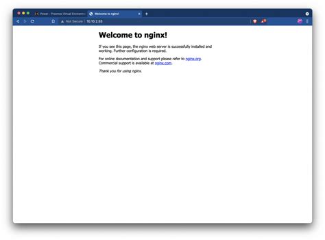 Install Nginx Virtualize Everything
