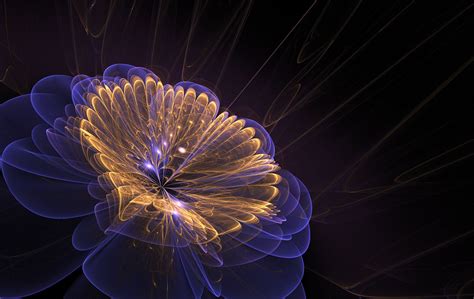 Fractal Images Fractal Art Computer Backgrounds Wallpaper Backgrounds Desktop Wallpapers