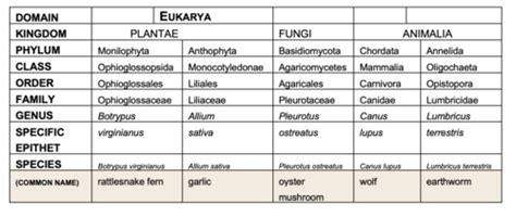 Bio 1020 Lab Exam 1 Flashcards Quizlet