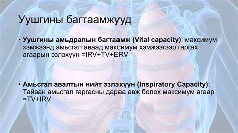 Амьсгалын эрхтэн тогтолцооны физиологи Ppt