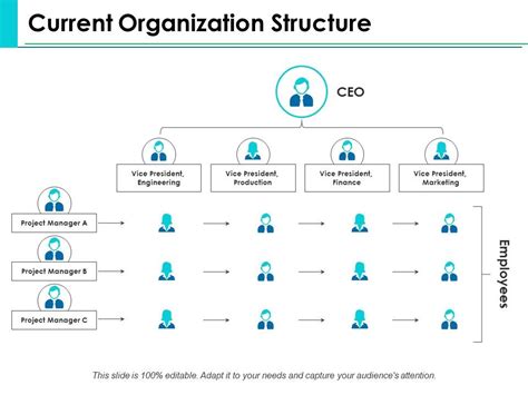 Current Organization Structure Ppt Powerpoint Presentation Summary