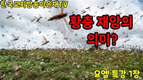 황충 재앙의 의미 Youtube