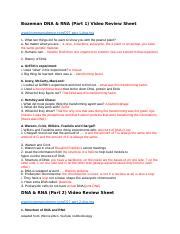 Bozeman Dna And Rna Part 2 Answers 30 Pages Solution In Doc 1 2mb