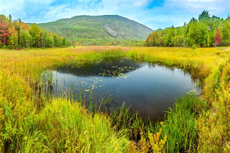 Acadia National Park Self Guided Driving Tour From Cadillac Getyourguide