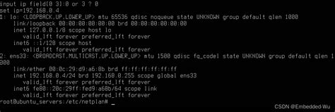 在 ubuntu 18 04 中配置静态 ip 地址及灵活切换ip的办法 00 installer config yaml没有分配ip csdn博客