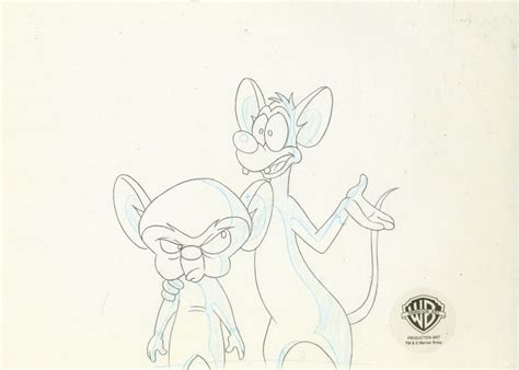 Animaniacs Original Production Drawing Pinky And Brain Original
