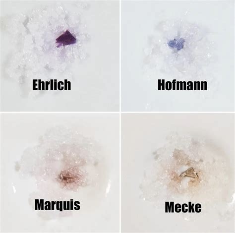 Test Results Photos — Pro Test