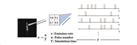 figure schematic diagram of poisson encoding process download