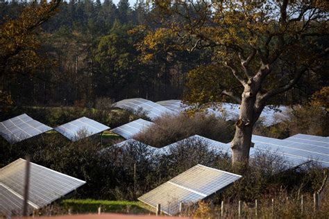 Solar Firm Collapses Owing Uk Taxpayers £655 Million Bloomberg