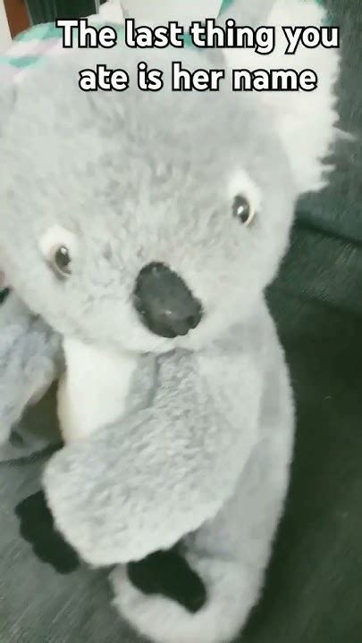 Music Lifeisbutadream Cute 😻😊 Youtube