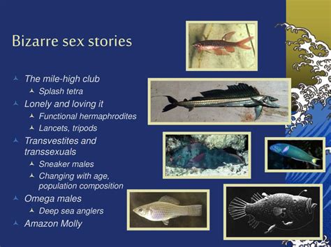 Ppt How To Cold Read A Fish Powerpoint Presentation Free Download Id