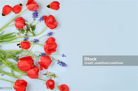 회색 배경에 봄 정원 꽃 추상 꽃 조성 플랫 평지 배경 꽃 봄 배너와 미니멀 한 휴일 개념 어머니의 날 카드 생일 축하 결혼식