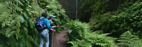 Hiking In Madeira Nature Route In Madeira
