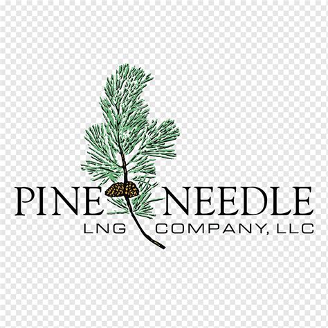 Pine Needle Hd Logo Png Pngwing