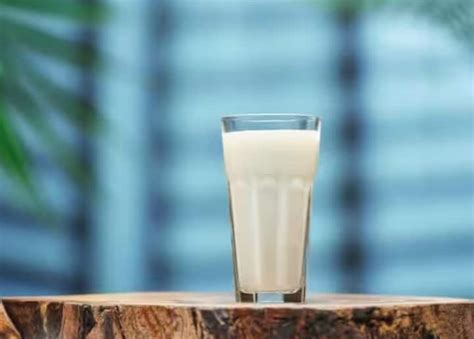 Health Milk Enough To Fulfill Calcium Deficiency In Body Health News
