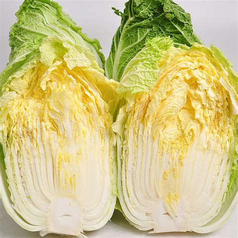 전남 화순 김동식님의 꽉차고 단단한 생배추 4포기13~17kg내외 홈플러스 택배배송