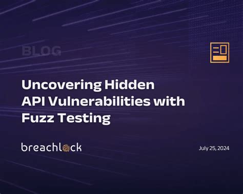Uncovering Hidden API Vulnerabilities With Fuzz Testing BreachLock