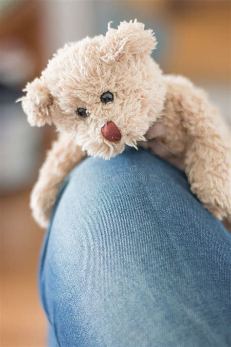 Un Oso De Peluche Lindo Abrazando Mi Pierna Imagen De Archivo Imagen