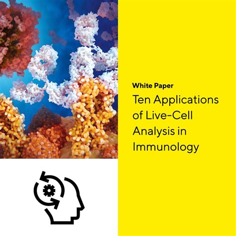 Livecellimaging Livecellanalysis Immunology Sartorius Incucyte® Live Cell Analysis Systems
