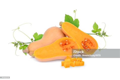 전체 및 큐브 Butternut 스쿼시 녹색 잎에 고립 된 흰색 배경 버터너트 스쿼시에 대한 스톡 사진 및 기타 이미지 버터