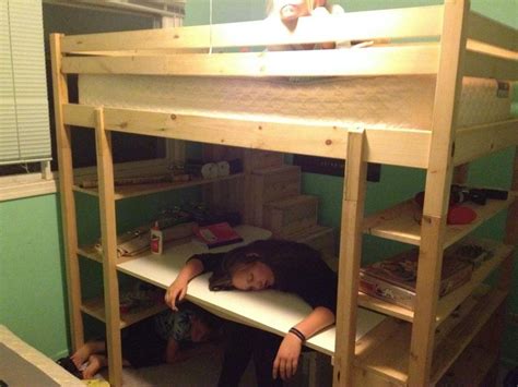 Deadhead Logging In Fl Gets Man Arrested The Wood Wood Talk Online