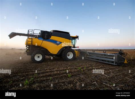Combine Harvester Collecting Corn Grains In Rural Argentine Field Stock