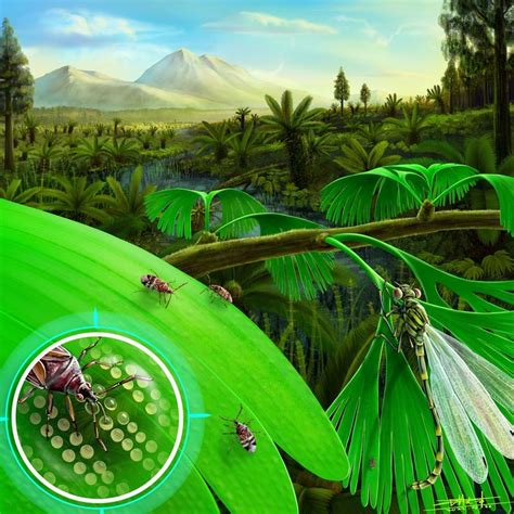 Fosil Tumbuhan Di China Menunjukkan Perilaku Oviposisi Endofit Serangga