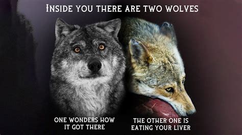 Where Does The Inside You There Are Two Wolves Meme Come From Know