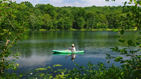 Things To See And Do At Nescopeck State Park Nepa Parks And Lakes