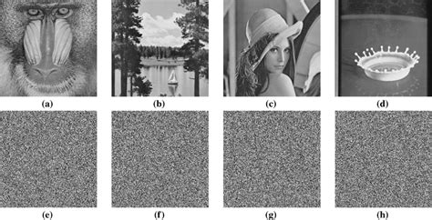 encryption result a b c d plain images baboon lake lena milk