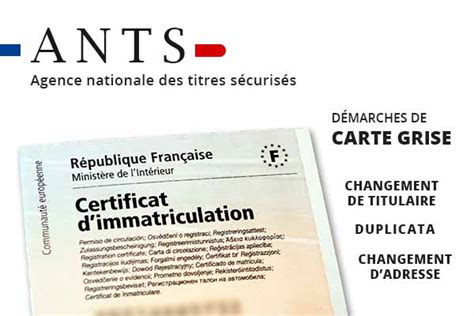 Haut 91 Imagen Gouv Fr Carte Grise Fr Thptnganamst Edu Vn