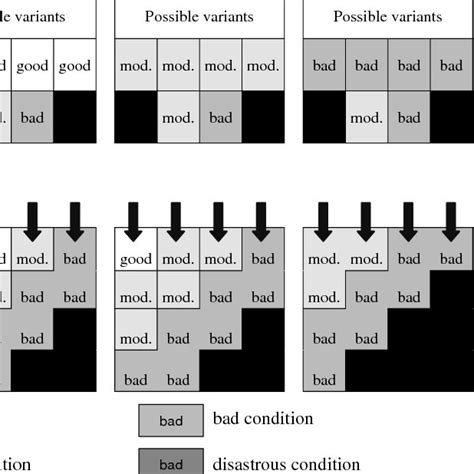 Method Of General Tree Condition Assessment Presented On Graphic