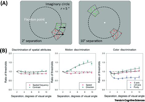 Comparison At A Distance A The Stimulus Arrangements For Experiments Download Scientific
