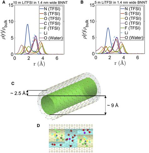 Radial Distribution Of The Ions And Water Molecules Confined In
