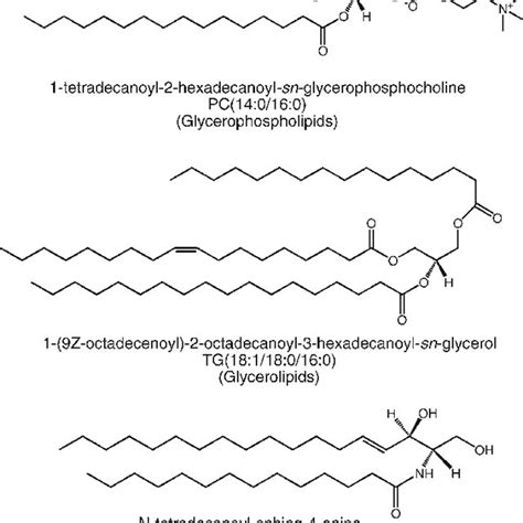 Pdf Update Of The Lipid Maps Comprehensive Classification System For Lipids