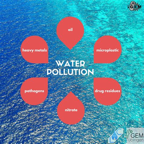 Team Stuttgart Collaborations