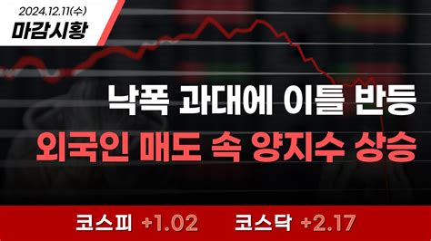 2024년 12월 11일수 마감시황 주식 시황 특징주 급등종목 Youtube