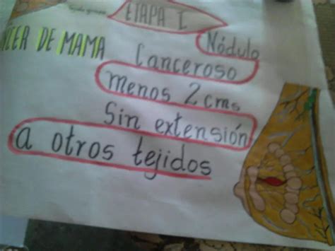 Como Hacer Laminas De Exposicion Imagui
