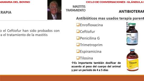 Guía De La Inyección Para Mastitis En Vacas Actualizado Febrero 2026