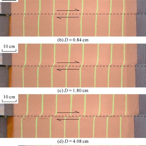 Sandbox Used For Strike Slip Fault Modeling Download Scientific Diagram